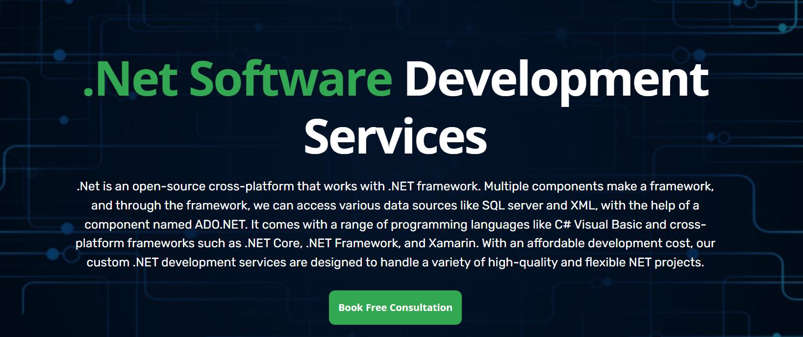 Top .NET Software & App Development Company